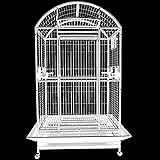 Amazon.com : Kings Cages SLTPC4226 Parrot Bird Cage 1" and 5/8" Bar ...