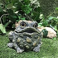 Amazon.com: Cromwell The Croaking Motion Activated Toad Hollow Frog ...
