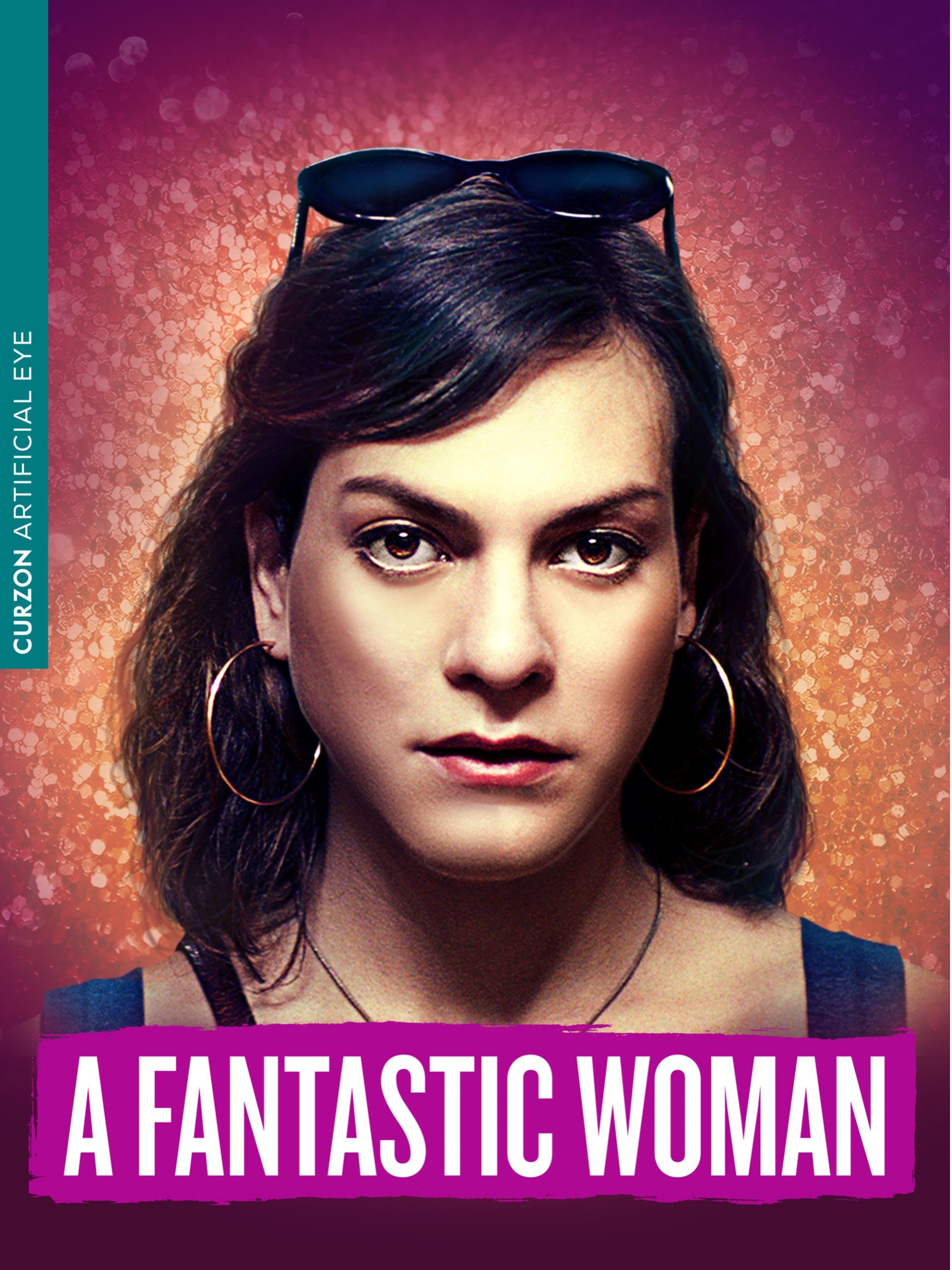 Watch A Fantastic Woman | Prime Video