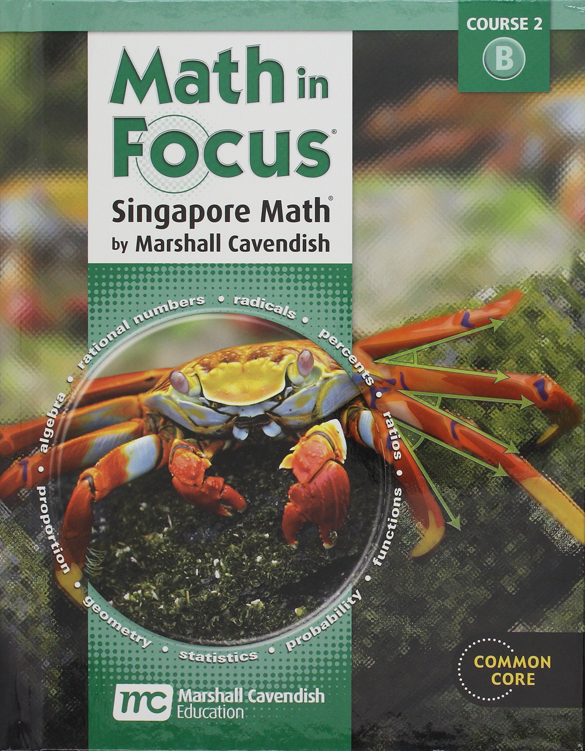 Mua Math in Focus: Singapore Math Volume B Grade 7 trên Amazon Nhật ...