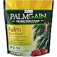 Amazon.com : BGI Fertilizers Palmgain Bag, Palm Tree Fertilizer, Ferns ...