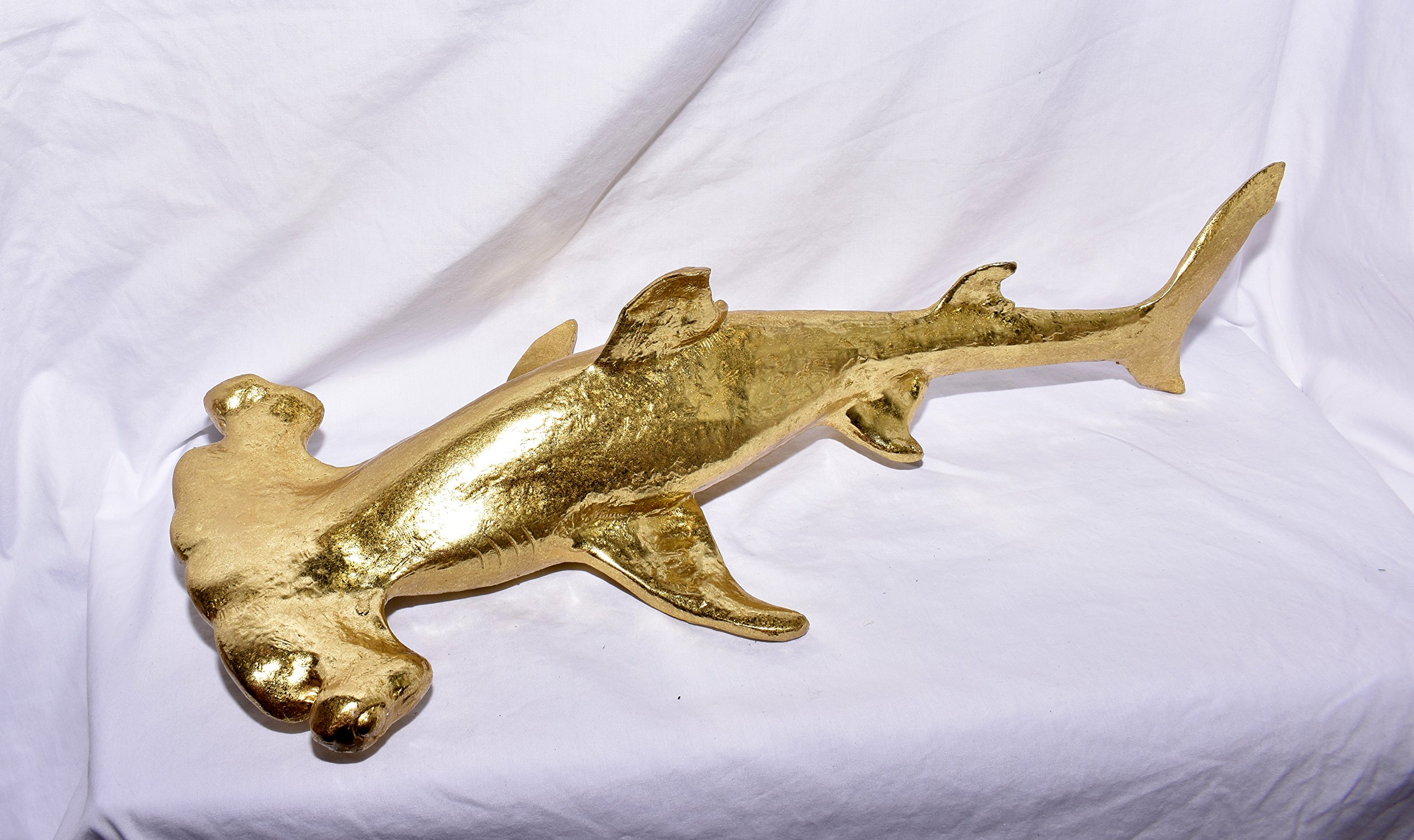 Golden Hammerhead Shark