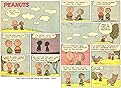 Amazon.com: The Complete Peanuts 1999-2000 Comics & Stories: Gift Box ...