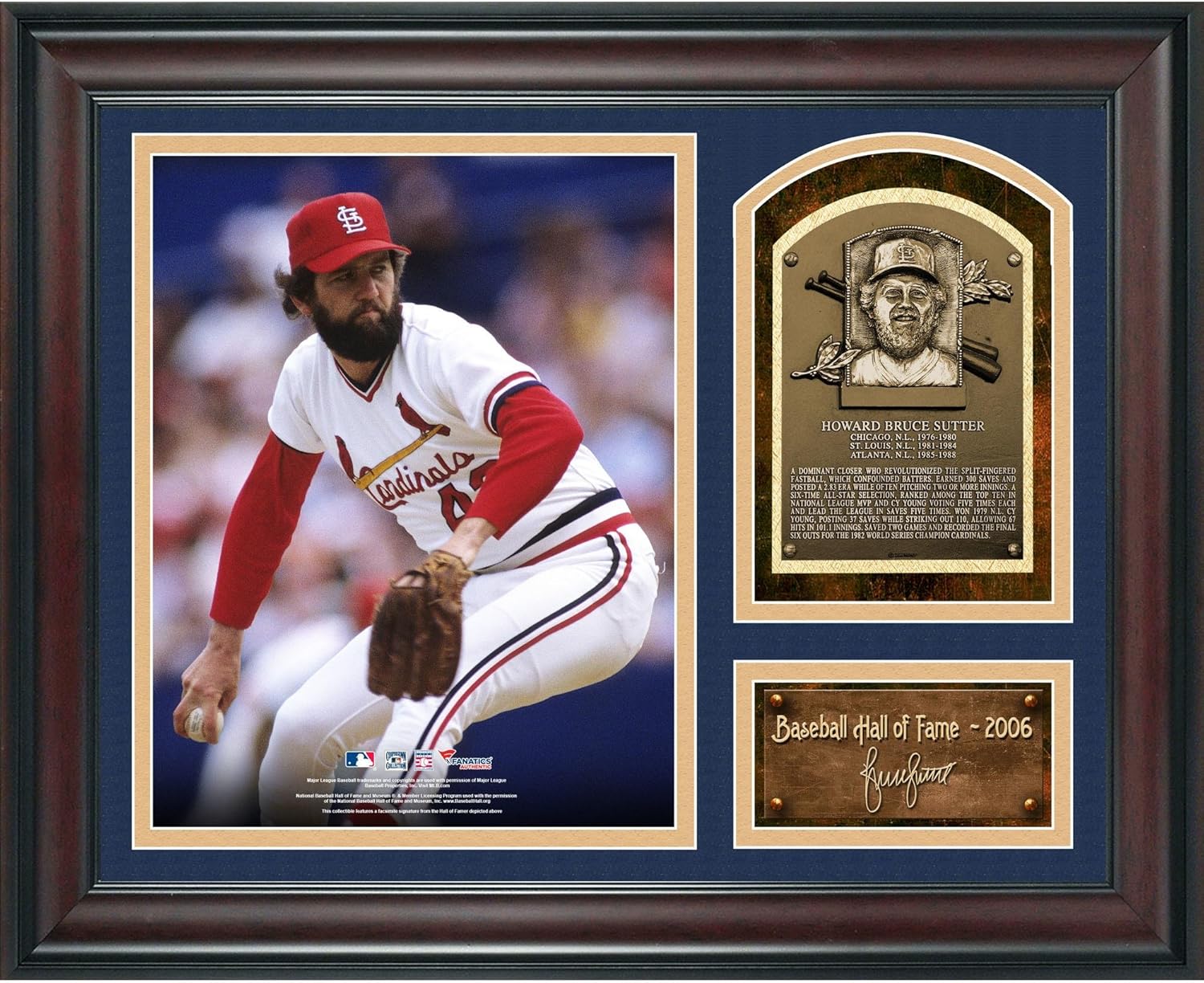 Bruce Sutter St. Louis Cardinals Baseball Hall of Fame Framed 15" x 17 ...