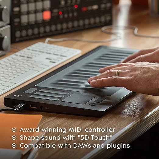 Roli Seaboard Rise 25 MIDI Controller: Amazon.in: Musical Instruments