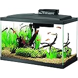 Amazon.com: Aqueon LED Minibow Aquarium Starter Kits with LED Lighting ...