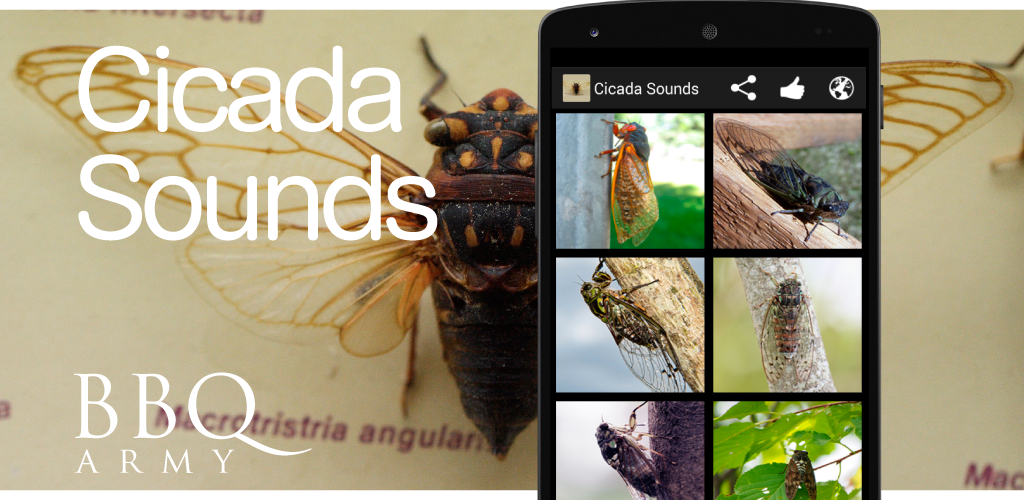 Cicada Sounds:Amazon.com:Appstore for Android