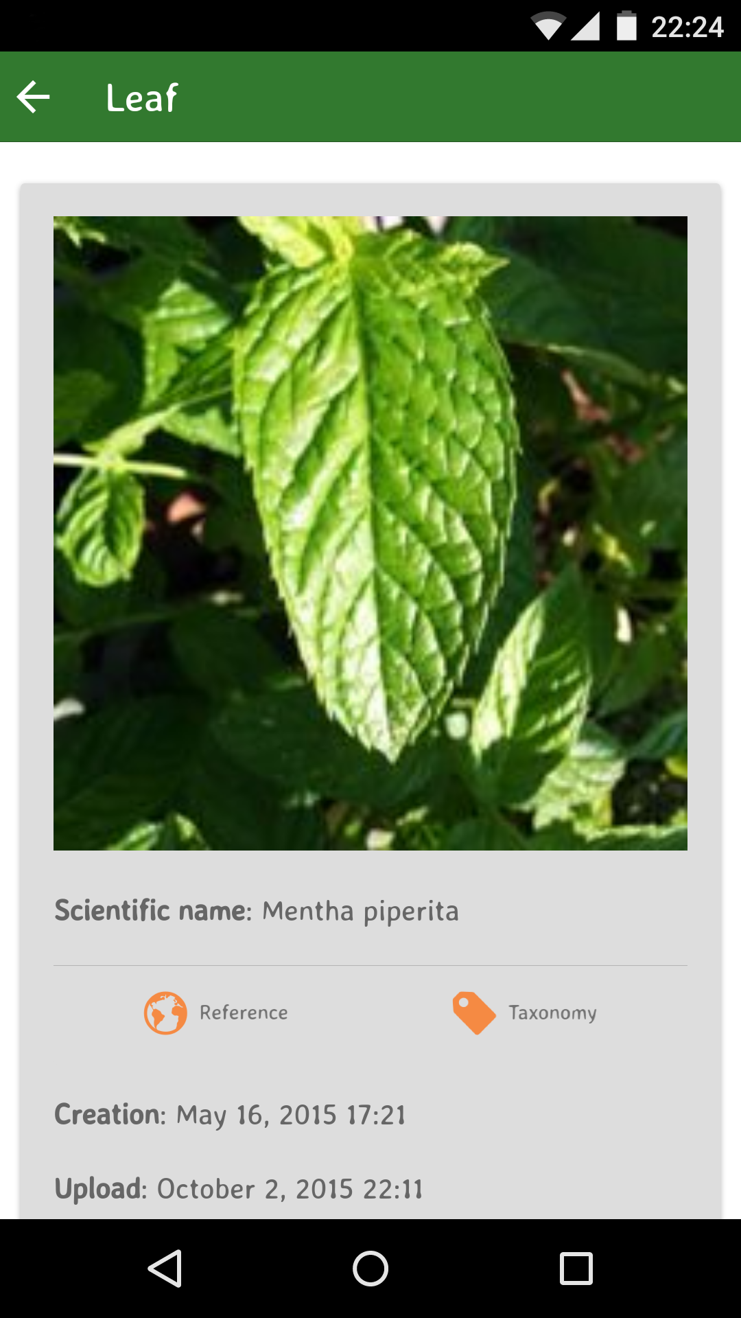 Amazon Leaf ID Appstore For Android Amazon Leaf ID Appstore For Android