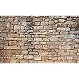 Amazon.com: Biggies-Window Well Scene-Stone 100" X 60" : Tools & Home ...