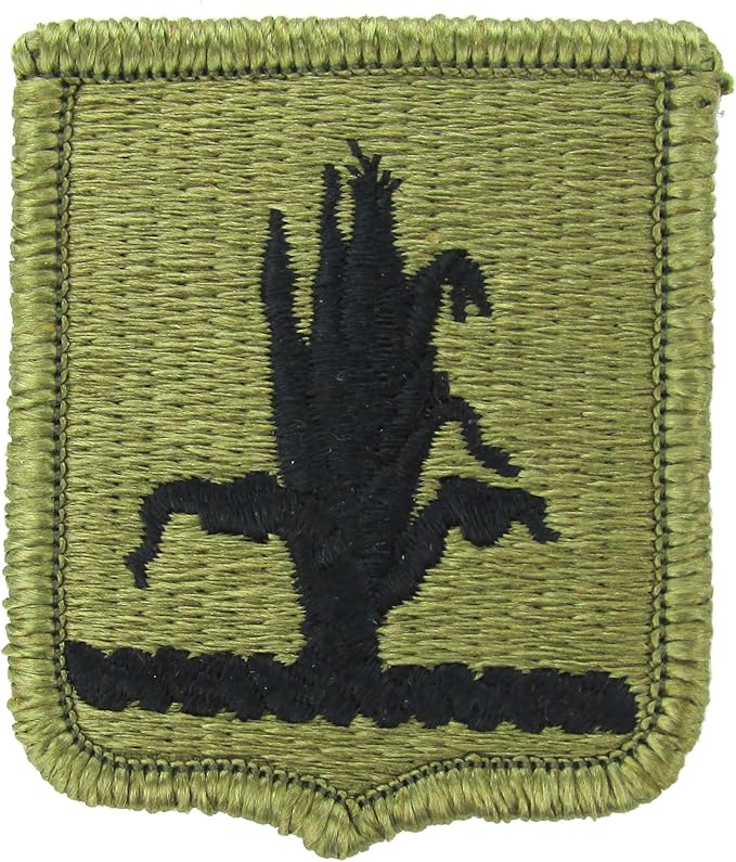 Amazon.com: Nebraska National Guard OCP Patch - Scorpion W2: Clothing