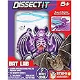 Amazon.com: Dissect-It Simulated Synthetic Lab Dissection STEM Toy ...