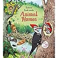 Look Inside Animal Homes: Bone, Emily, Lechuga, Maribel: 9781805318538 ...