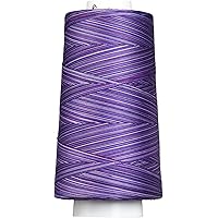 Amazon.com: Signature Thread, 40wt/3000 yd, Variegated Purple Haze