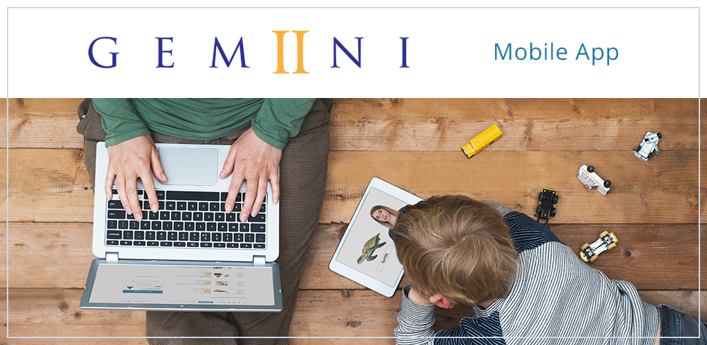 Gemiini Mobile : Amazon.ca: Apps for Android