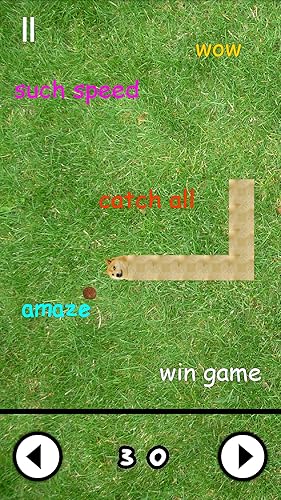 Doge Snake:Amazon.com:Appstore for Android