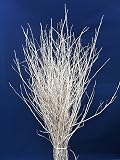 Decorative Coloured Birch Twigs and branches - White - 90cm's - 25 ...