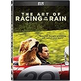 The Art of Racing in the Rain: A Novel: Stein, Garth: 9780061537967 ...