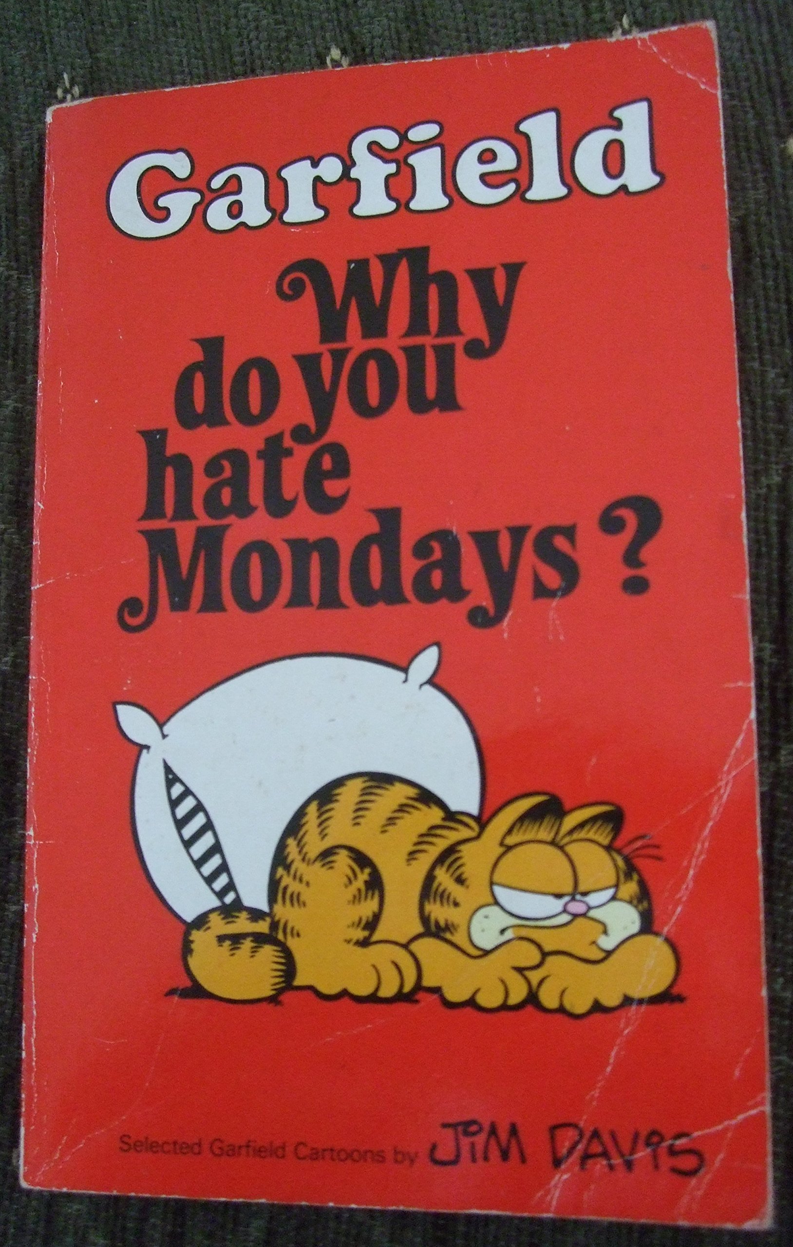 Twenty Things You Might Not Know About Garfield – The Daily Cartoonist