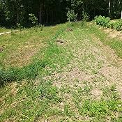 Sheen X300 Weed Control Flame Gun: Amazon.co.uk: Kitchen & Home