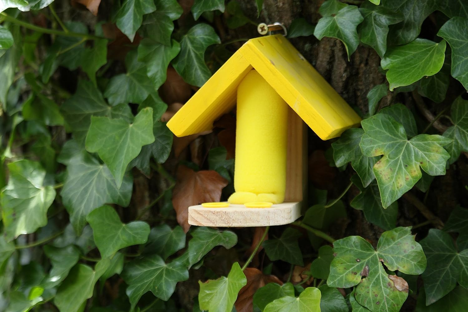 Wildlife World Mini Bugs Butterfly/ Moth Feeder and Habitat – BigaMart