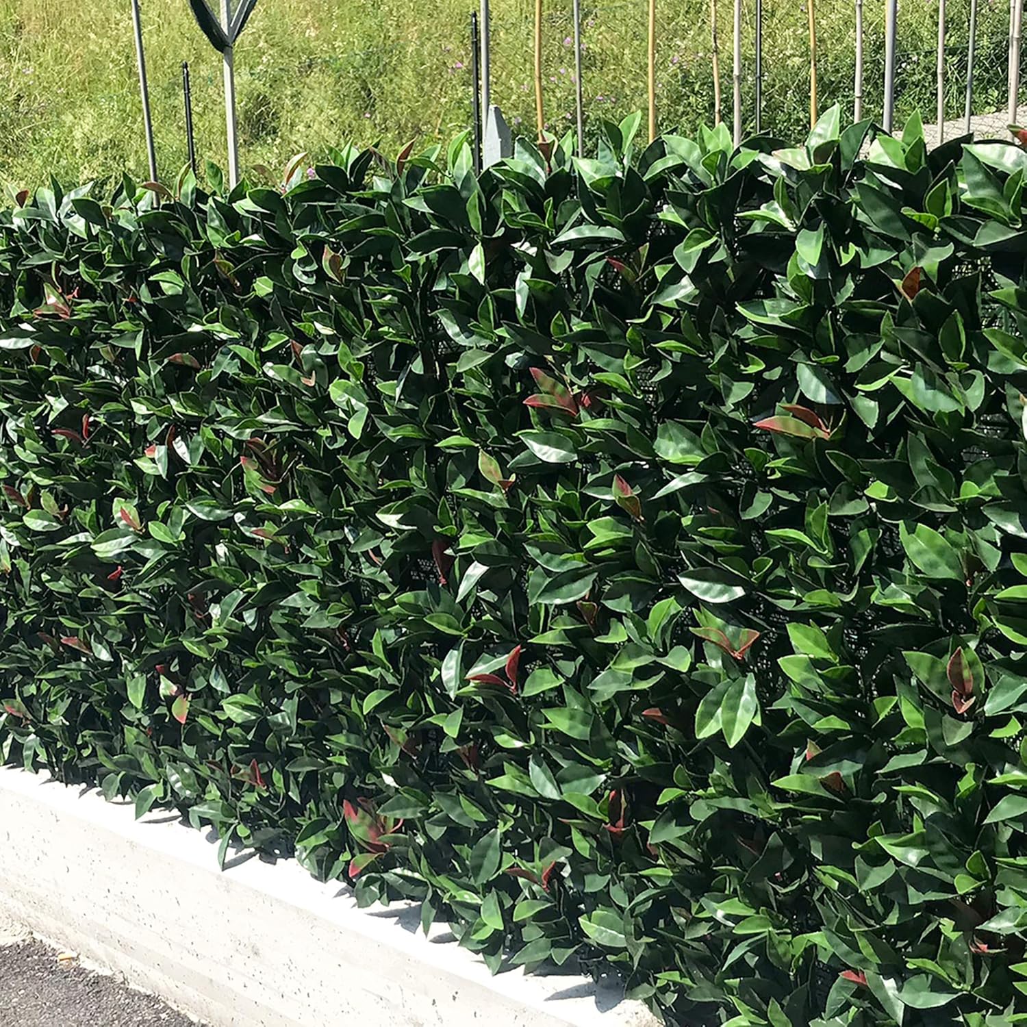 Decorazioni per il giardino tenax Divy Plus Laurus Verde Foglie 3D ...