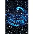 Amazon.com: NASA Cygnus Loop Nebula Space Hi Gloss Poster Fine Art ...