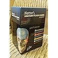 Netter's Anatomy Flash Cards: with Online Student Consult Access ...