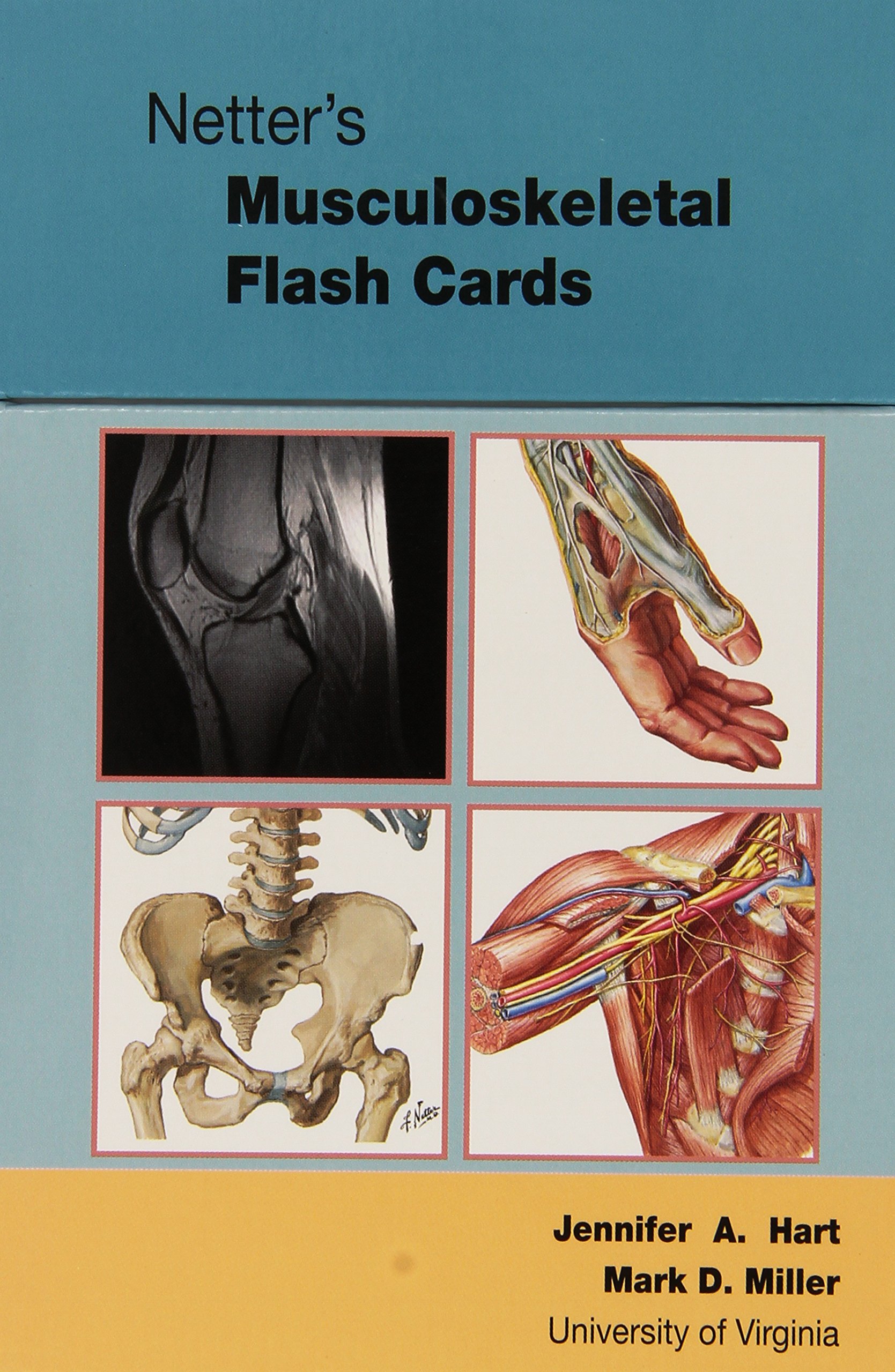 Mua Netter's Musculoskeletal Flash Cards (Netter Basic Science) trên ...