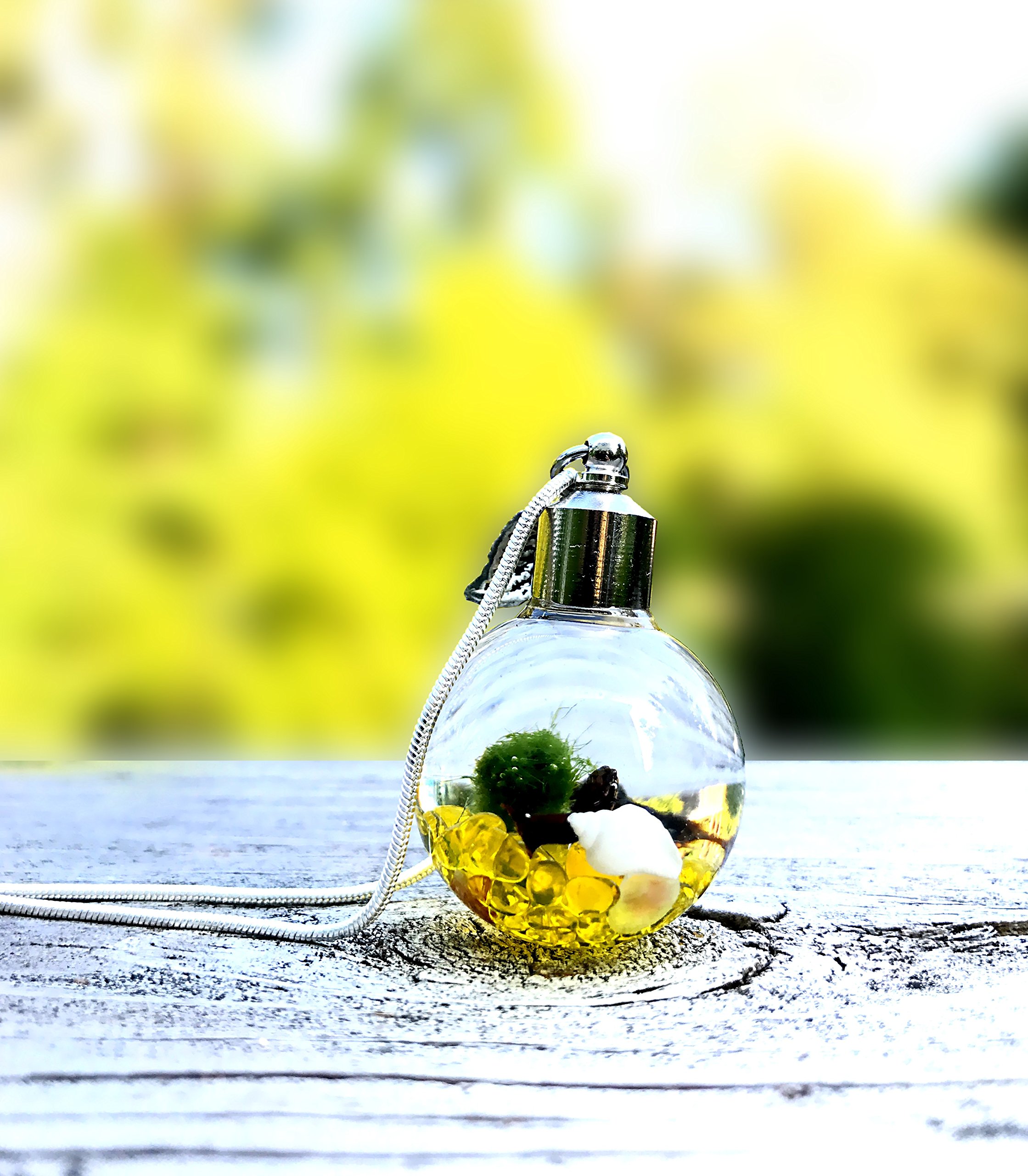 Marimo Moss Ball Necklace