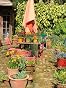 Gardening in Pyjamas: Horticultural enlightenment for obsessive dawn ...
