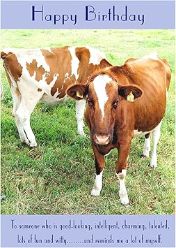 Cow Birthday Card: Amazon.co.uk: Office Products