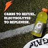 Gatorade Thirst Quencher Sports Drink, Fruit Punch, 20oz Bottle, 8 Pack ...