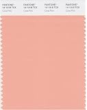 Pantone 18-1345 TCX Smart Color Swatch Card, Cinnamon Stick - House ...