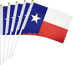 Amazon.com : LoveVC Texas State Flag Small Mini Texas Stick Flags,25 ...