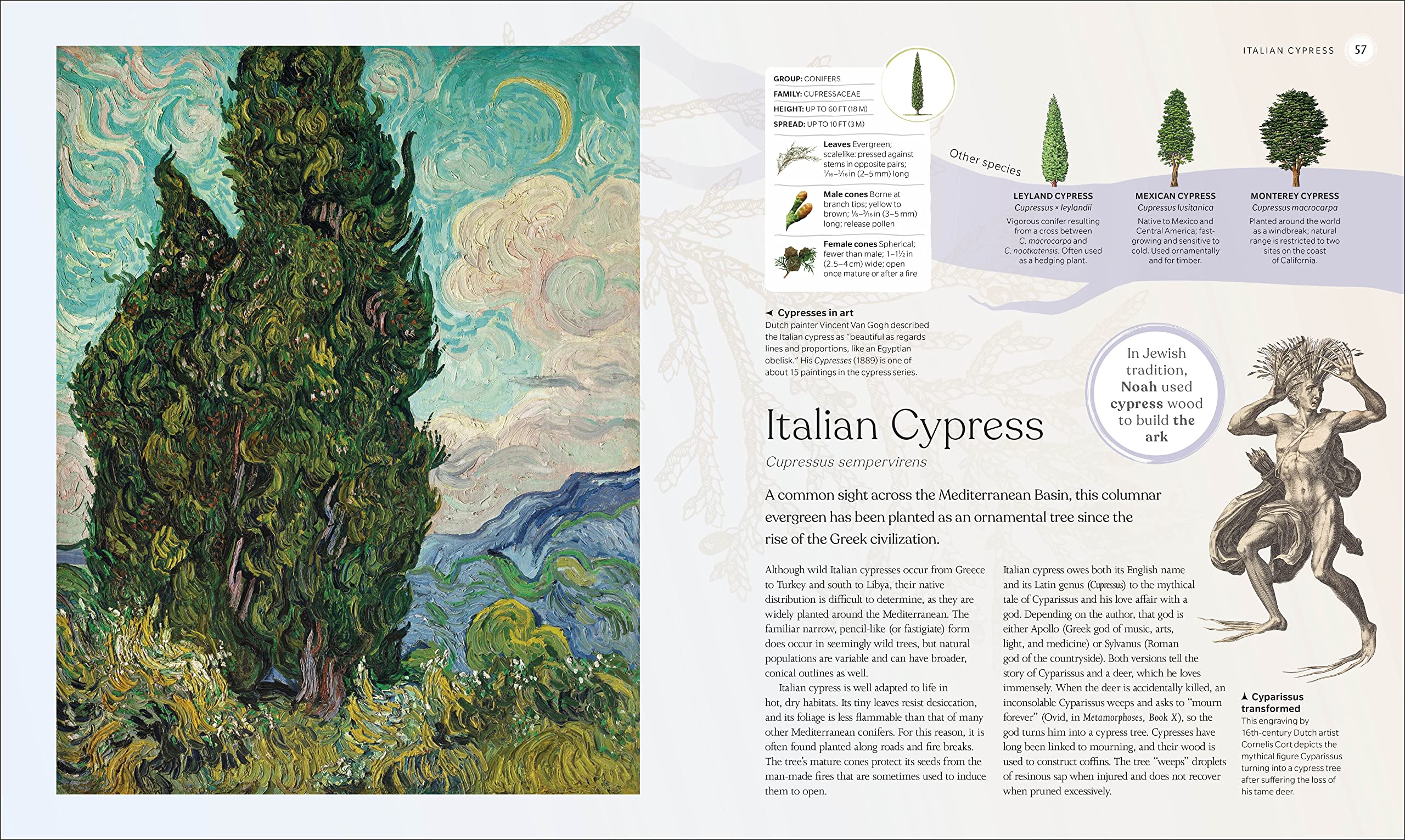 Mua The Tree Book: The Stories, Science, and History of Trees The Tree ...