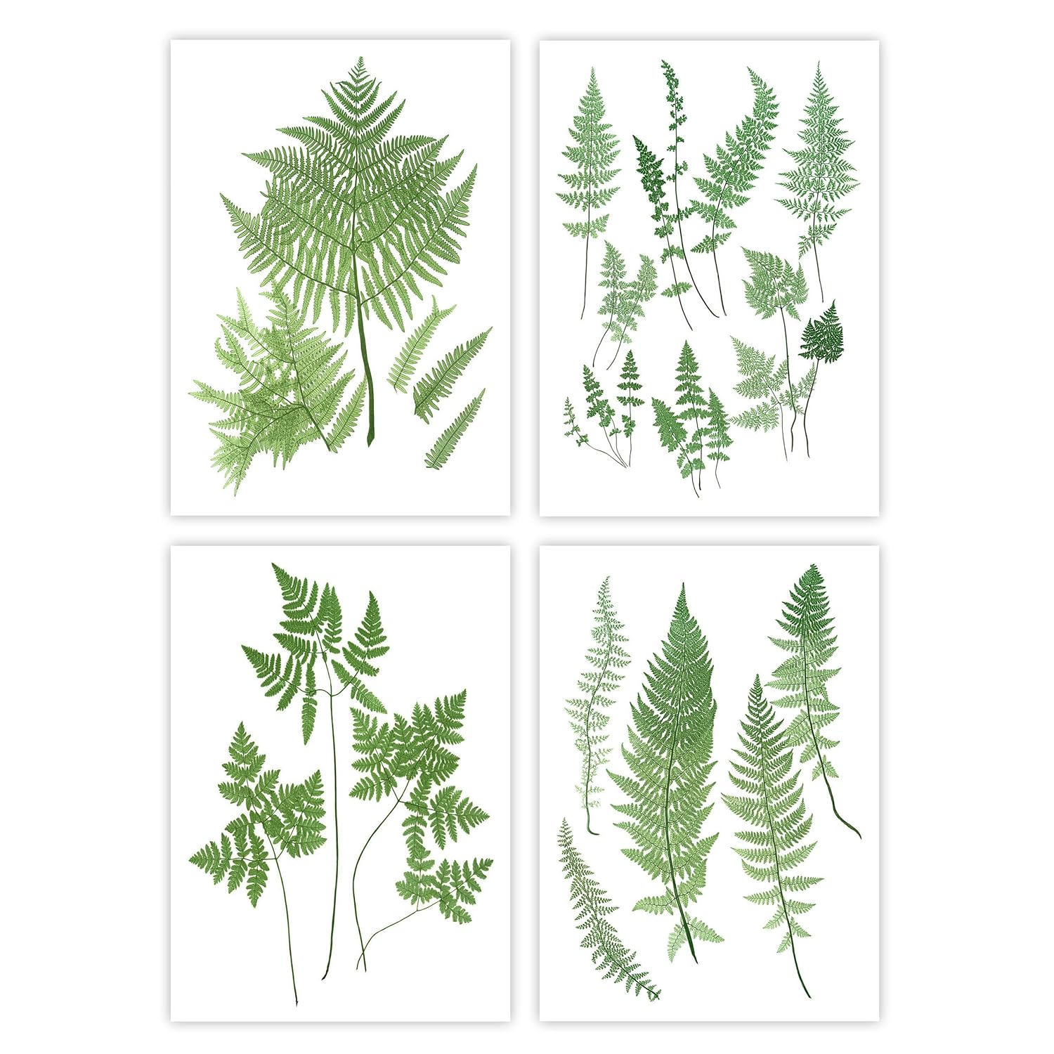 Amazon.com: 5x7 Fern Wall Art Botanical Prints Set of 4 Woodland Home ...