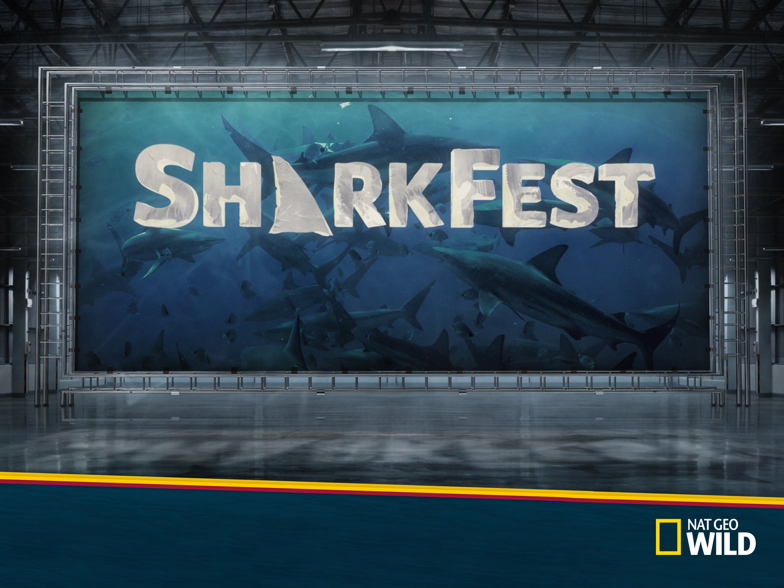 Watch SharkFest | Prime Video