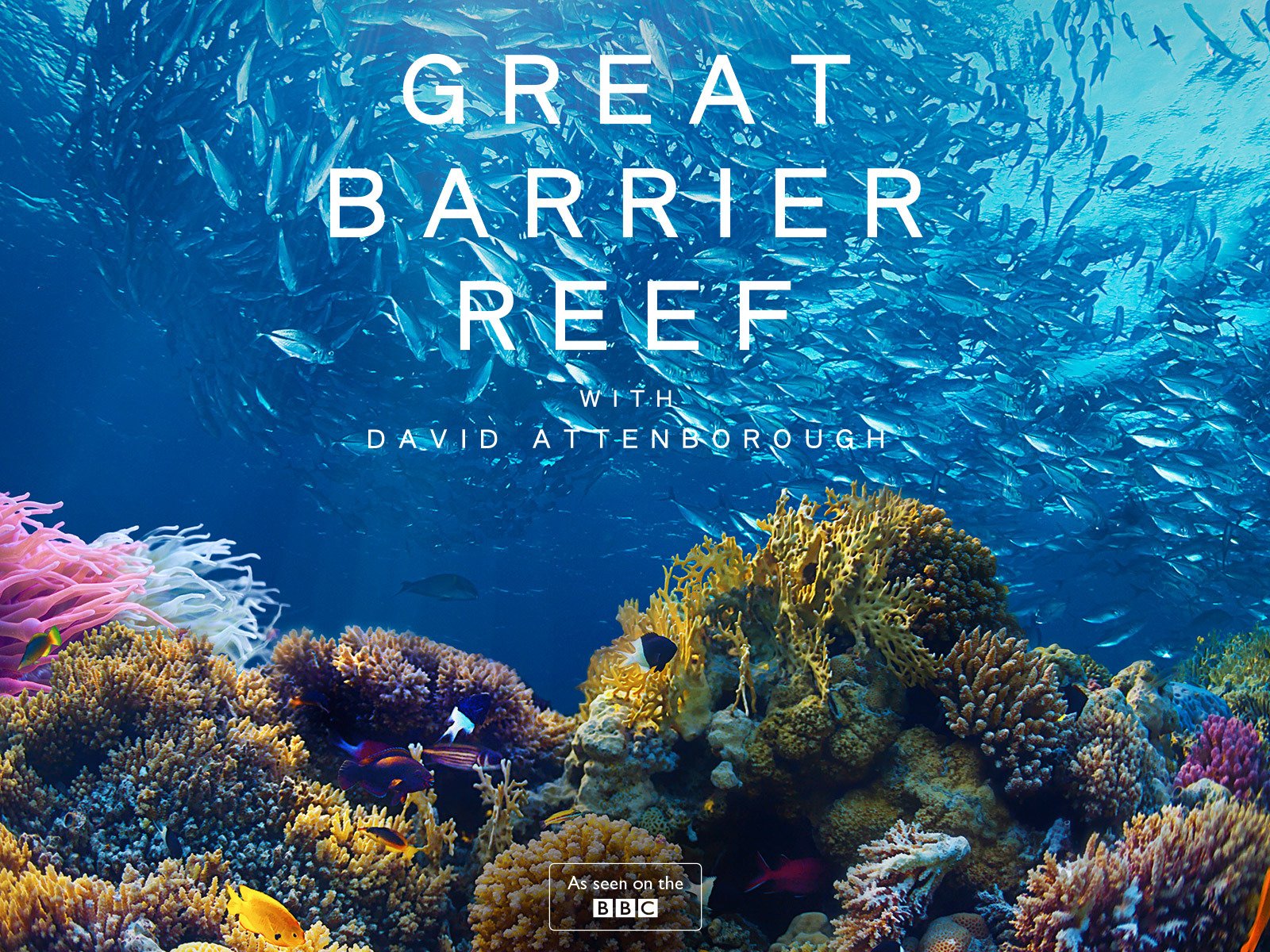 Watch Great Barrier Reef with David Attenborough | Prime Video