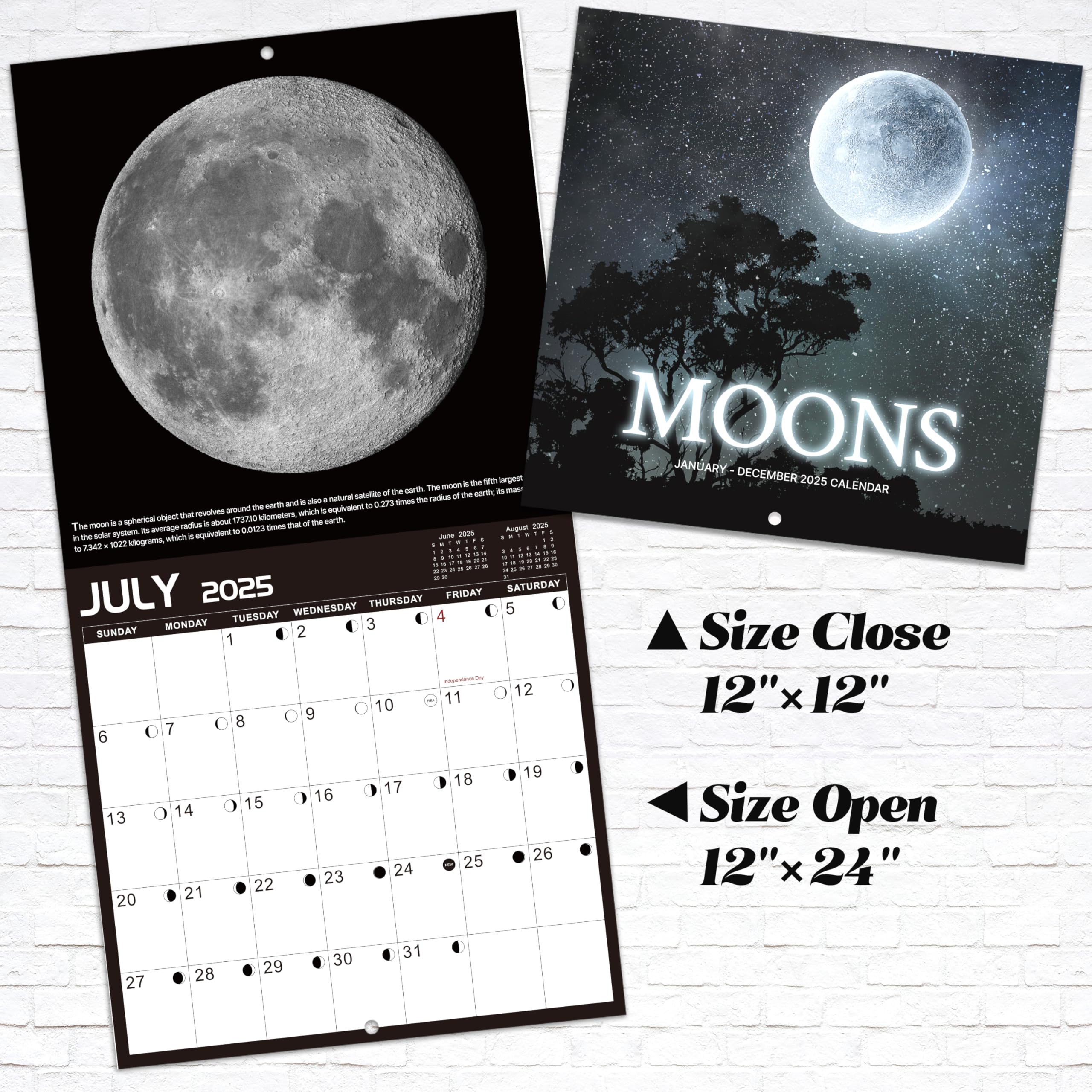 Printable Diary For 2025 Pineraap 4 Pack 2025 Mini Calendar Vintage ...
