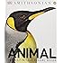 Amazon.com: Animal: The Definitive Visual Guide (9780756686772): DK ...