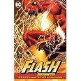 Amazon.com: The Flash: Rebirth: 9781401230012: Johns, Geoff, Van Sciver ...