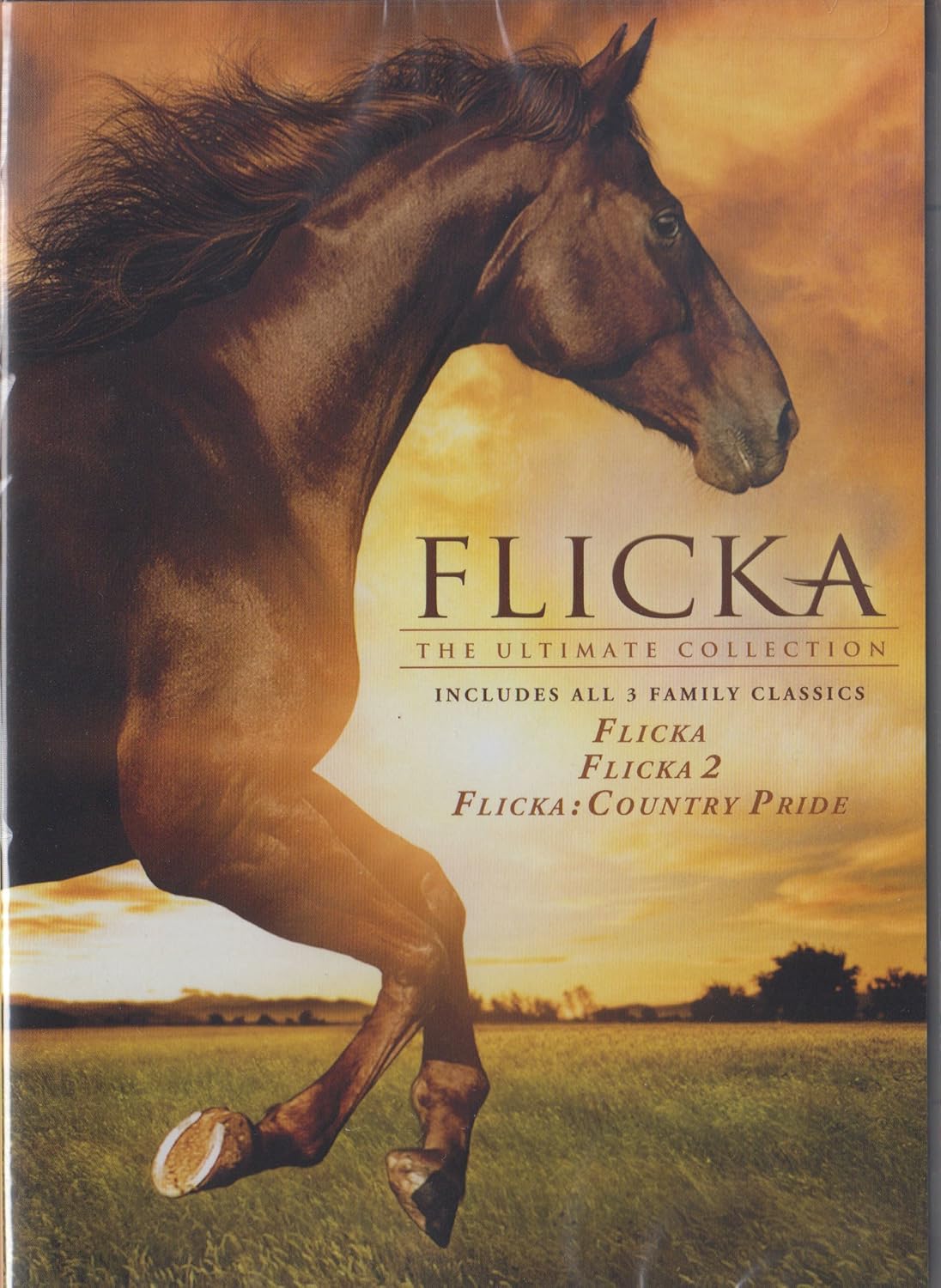 Amazon.com: Flicka / Flicka 2 / Flicka Country Pride: Flicka Ultimate ...