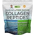 Amazon.com: ANDREW LESSMAN Marine & Free Range Collagen Peptides Powder ...