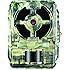 Amazon.com : Primos Hunting Truth Cam Blackout Game Trail Camera ...