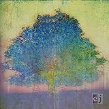 Eric Johnson - Bloom - Amazon.com Music