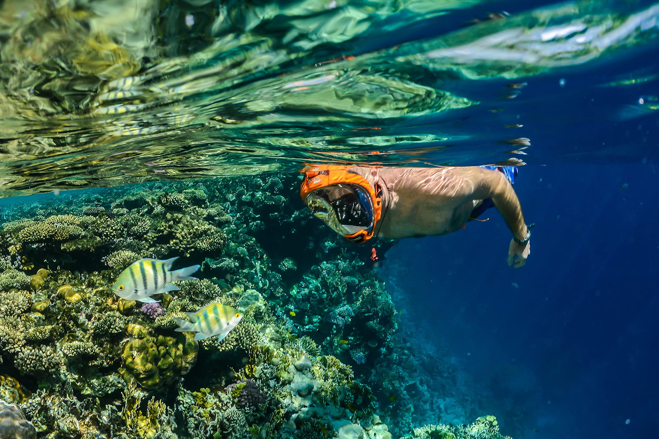 Mua OCEAN REEF - Aria QR + Quick Release Snorkeling Mask - Full Face ...