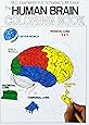 The Human Brain Coloring Book (Coloring Concepts Series): 8583323156149 ...