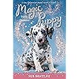 Amazon.com: Party Dreams (Magic Puppy, Book 5): 9780448450643: Sue ...