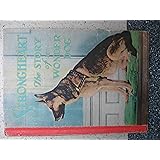 Strongheart: The World's First Movie Star Dog: McCully, Emily Arnold ...