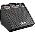 Amazon.com: Laney Drumhub DH80 Personal Drum Monitor with Bluetooth 80W ...